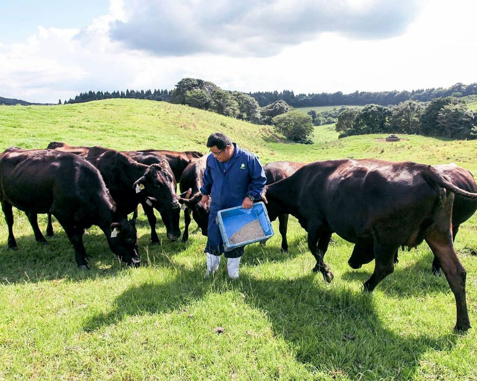 Our Story - WAGYU.MY