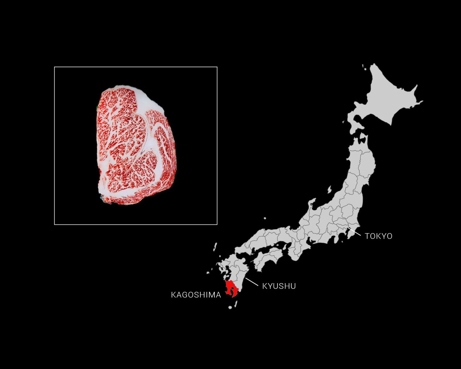 Our Story - WAGYU.MY