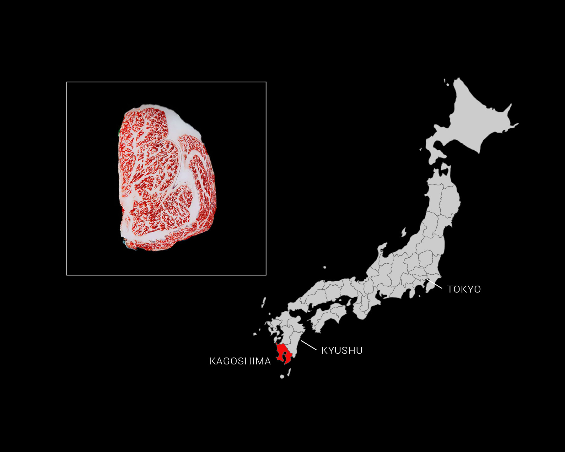 Our Story - WAGYU.MY